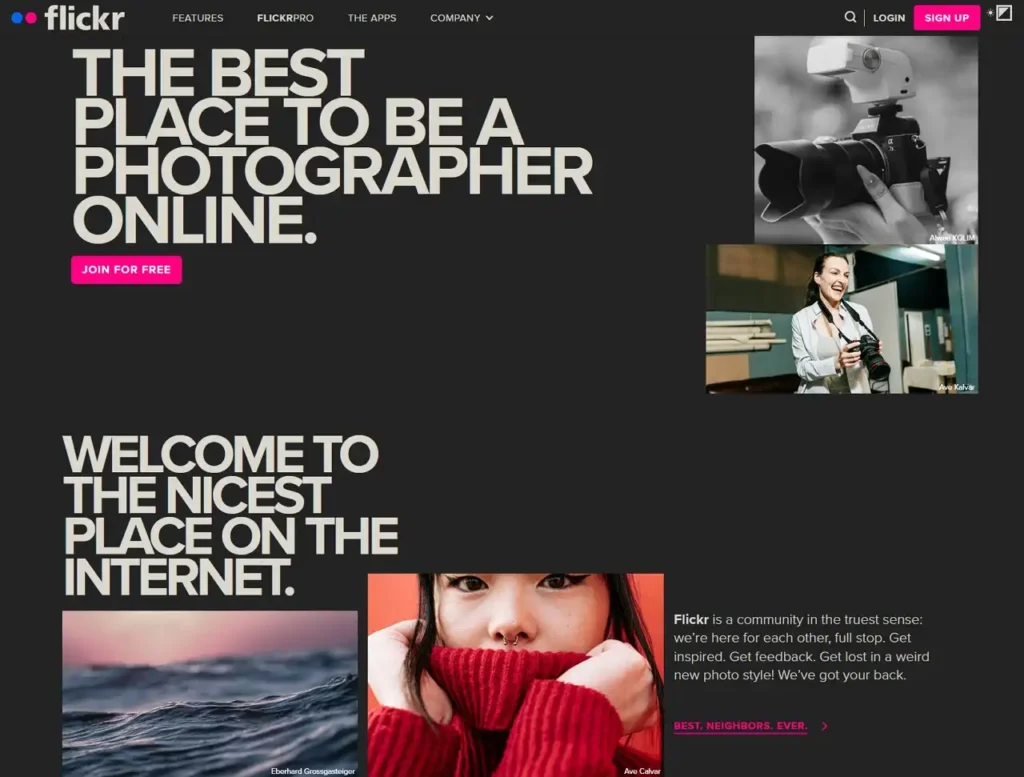 Flickr vs Instagram : pourquoi les photographes migrent – Pixfan.com